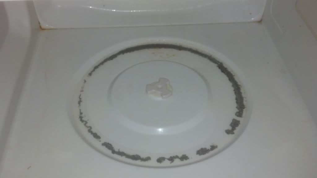 Microwave Oven Paint Flaked Off - Microwave Repair - AppliancePartsPros ...