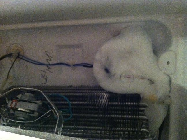 Iced behind freezer back panel. Freezer and Fridge not cooling, temp ...